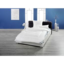 f.a.n. Frankenstolz Bettdecke Texas Vierjahreszeiten-Steppbett 200x200