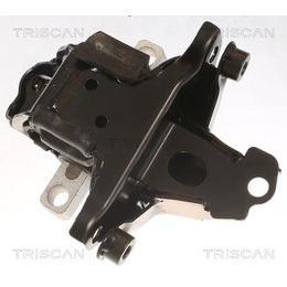 TRISCAN Lagerung, Motor 850529139 f&uuml;r VW