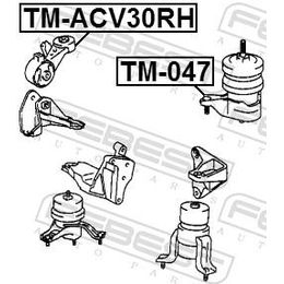 FEBEST Lagerung, Motor tmacv30rh vorne rechts f&uuml;r TOYOTA