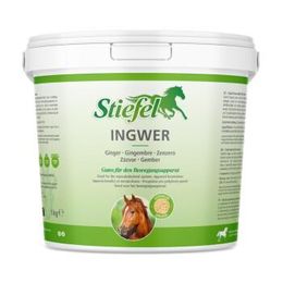 Stiefel Ingwer 1 kg