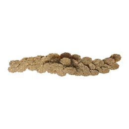 Paul Neuhaus Wandleuchte VIRELLA