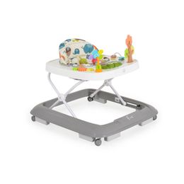 Moni Lauflernhilfe Forest Lieder Lichter Spielcenter R&auml;der faltbar Stopper 12 kg grau