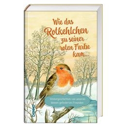 Wie das Rotkehlchen zu seiner roten Farbe kam