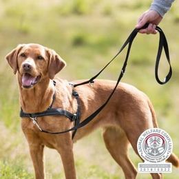 Trixie Trainingsgeschirr, L-XL