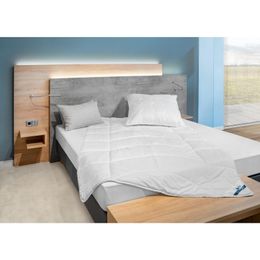 BecoBeco Kuschelweich Set MF50 Ganzjahresdecke und Kissen 80x80155 x 220 cm
