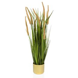 hjh OFFICE Kunstpflanze CORTADERIA I Kunststoff