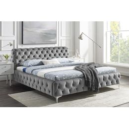 Riess Ambiente Doppelbett MODERN BAROCK 180x200cm grau Samt Chesterfield Design Riess-Ambiente