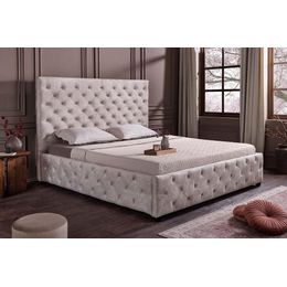Riess Ambiente Design Boxbett PARIS 160x200cm champagner beige Samt mit Stauraum und Lattenrost Riess-Ambiente Klassisch