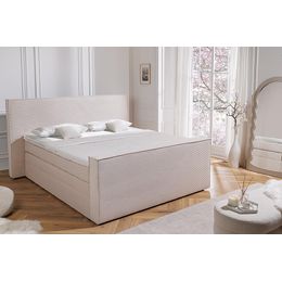 Riess Ambiente Design Boxspringbett SIGNUM 180x200cm beige Cord inkl. Topper Matratze und Stauraum Riess-Ambiente Modern & Design