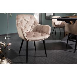 Riess Ambiente Design Stuhl MILANO champagner beige Samt mit Armlehne gepolstert schwarze Metallbeine Riess-Ambiente Esszimmerstuhl K&uuml;chenstuhl Modern & Design