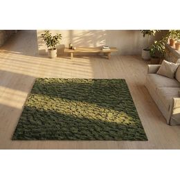 Riess Ambiente 3D Hochflor Teppich DUNE 230x160cm dunkelgr&uuml;n Hoch-Tief-Effekt Riess-Ambiente rechteckig Modern & Design
