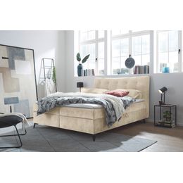 Riess Ambiente Design Boxbett DECADENCIA 180x200cm beige Samt mit Stauraum Matratze Topper Riess-Ambiente Modern & Design