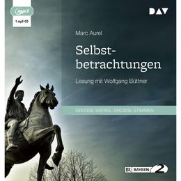 Selbstbetrachtungen