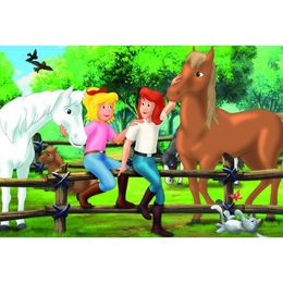 Schmidt Spiele Bibi & Tina, 2 x 100, 2 x 150 Puzzle Teile im Metallkoffer
