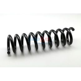 JAPKO Fahrwerksfeder zcj6219a Hinterachse f&uuml;r Mercedes