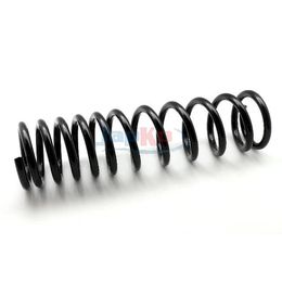JAPKO Fahrwerksfeder zcj5609a Hinterachse