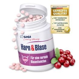 GIGI VET Harn & Blase 28 St&uuml;ck