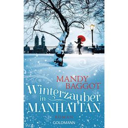 Winterzauber in Manhattan