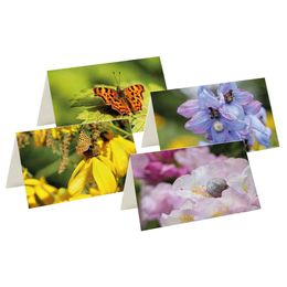 8er-Set Briefkarten &raquo;Bl&uuml;tenbesuch im Foerster-Garten&laquo;