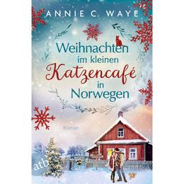 Weihnachten im kleinen Katzencaf&eacute; in Norwegen