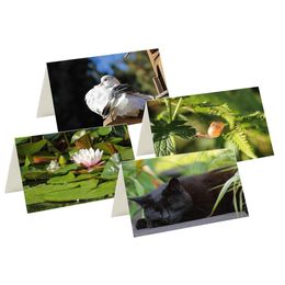 8er-Set Briefkarten &raquo;Tiere im Karl-Foerster-Garten&laquo;