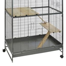 more Nagerkit f&uuml;r Voliere Darwin