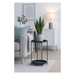 m&ouml;bel direkt online Blumenst&auml;nder Iris