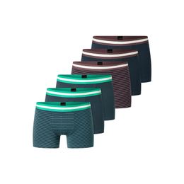 Schiesser Jungen Trunk 955 Multi 6er Pack