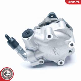 ESEN SKV Hydraulikpumpe, Lenkung 10skv184 f&uuml;r Audi
