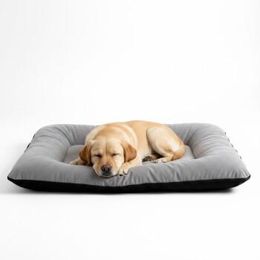 SunnyDogs Hundekissen XXL 120 x 80 cm grau