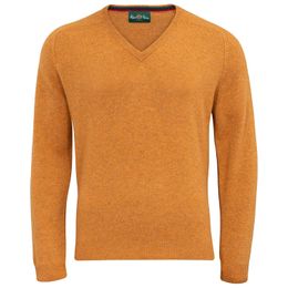 Alan Paine V-Pullover Streetly Gazelle (Gr&ouml;&szlig;e: 3XL)