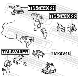 FEBEST Lagerung, Motor tmsv40fr vorne f&uuml;r TOYOTA