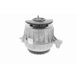 VAICO Lagerung, Motor Q+, Erstausr&uuml;sterqualit&auml;t V30-3194 vorne rechts f&uuml;r Mercedes