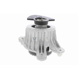VAICO Lagerung, Motor Q+, Erstausr&uuml;sterqualit&auml;t V30-3098 vorne rechts f&uuml;r Mercedes