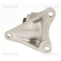 TRISCAN Lagerung, Motor 850581105 f&uuml;r Tesla