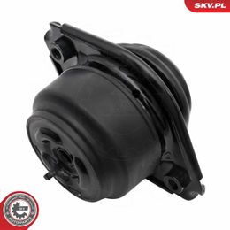 ESEN SKV Lagerung, Motor 75skv120 vorne f&uuml;r Mercedes