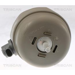 TRISCAN Lagerung, Motor 8505 29174 f&uuml;r Audi