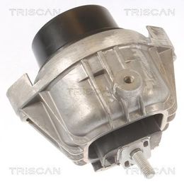 TRISCAN Lagerung, Motor 850511111 f&uuml;r BMW