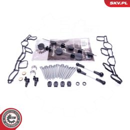 ESEN SKV Reparatursatz, Saugrohrmodul 49SKV501 f&uuml;r VAG Audi