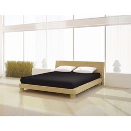 Mr. Sandman Spannbetttuch Fein Jersey de luxe 180 - 200 x 200 cm