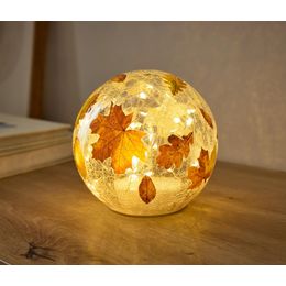 Tchibo - LED-Glaskugel &raquo;Bl&auml;tter&laquo; - transparent