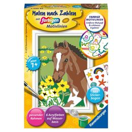 RAVENSBURGER VERLAG Malen nach Zahlen &raquo;Fohlen - Mal-Set&laquo;