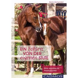 Ein Fohlen von der eigenen Stute