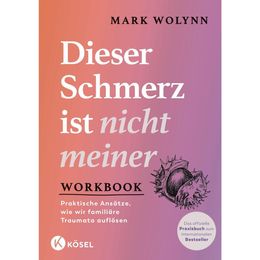 Workbook: Dieser Schmerz ist nicht meiner
