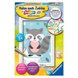 RAVENSBURGER VERLAG Ravensburger Malen nach Zahlen 28695- S&uuml;&szlig;er Waschb&auml;r - Kinder ab 7 Jahren