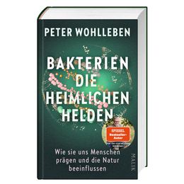 Bakterien - die heimlichen Helden