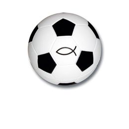 Softball - Fu&szlig;ball