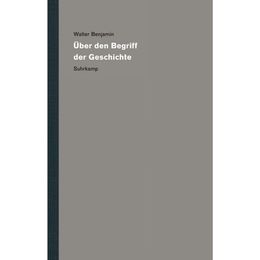 Suhrkamp Verlag AG Werke und Nachla&szlig;. Kritische Gesamtausgabe 19