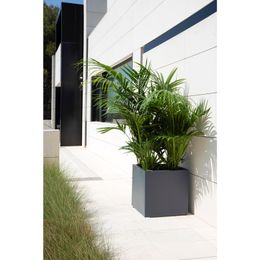 Herstera Garden Pflanzgef&auml;&szlig; versch. Ausf&uuml;hrungen