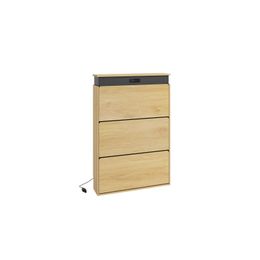 sobuy Schuhschrank mit 3 T&uuml;ren, Schuhkipper und Schuhregal 78x19x115,4cm Nordisch
